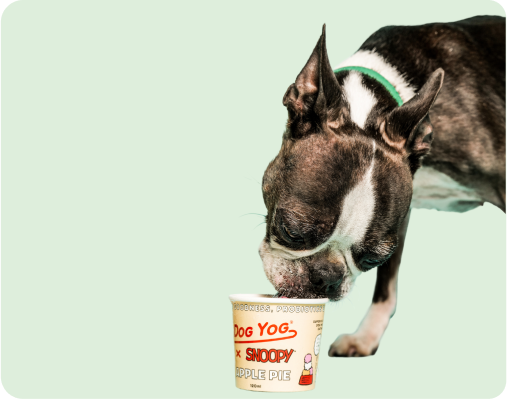 Dog Yog The worlds best Dog Ice Cream – DogYog